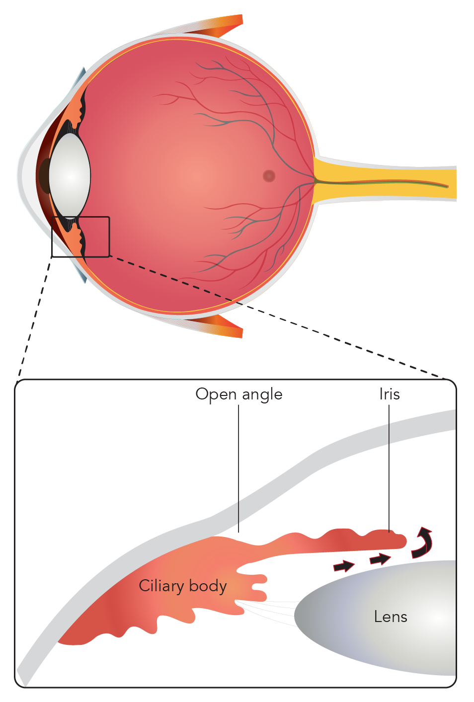 Health Library - Tan Tock Seng Hospital
